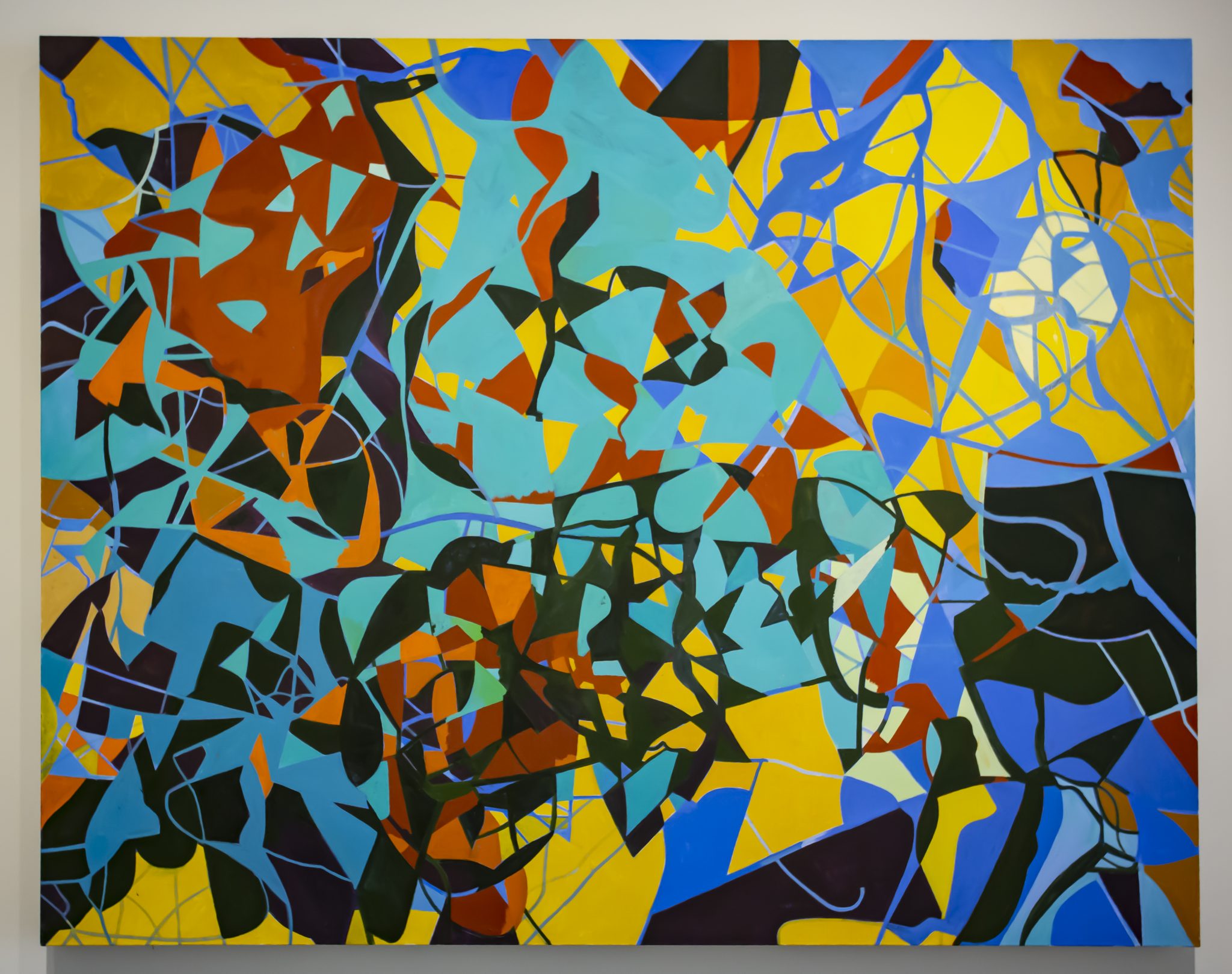 Neil Anderson: Earth Songs – Samek Art Museum