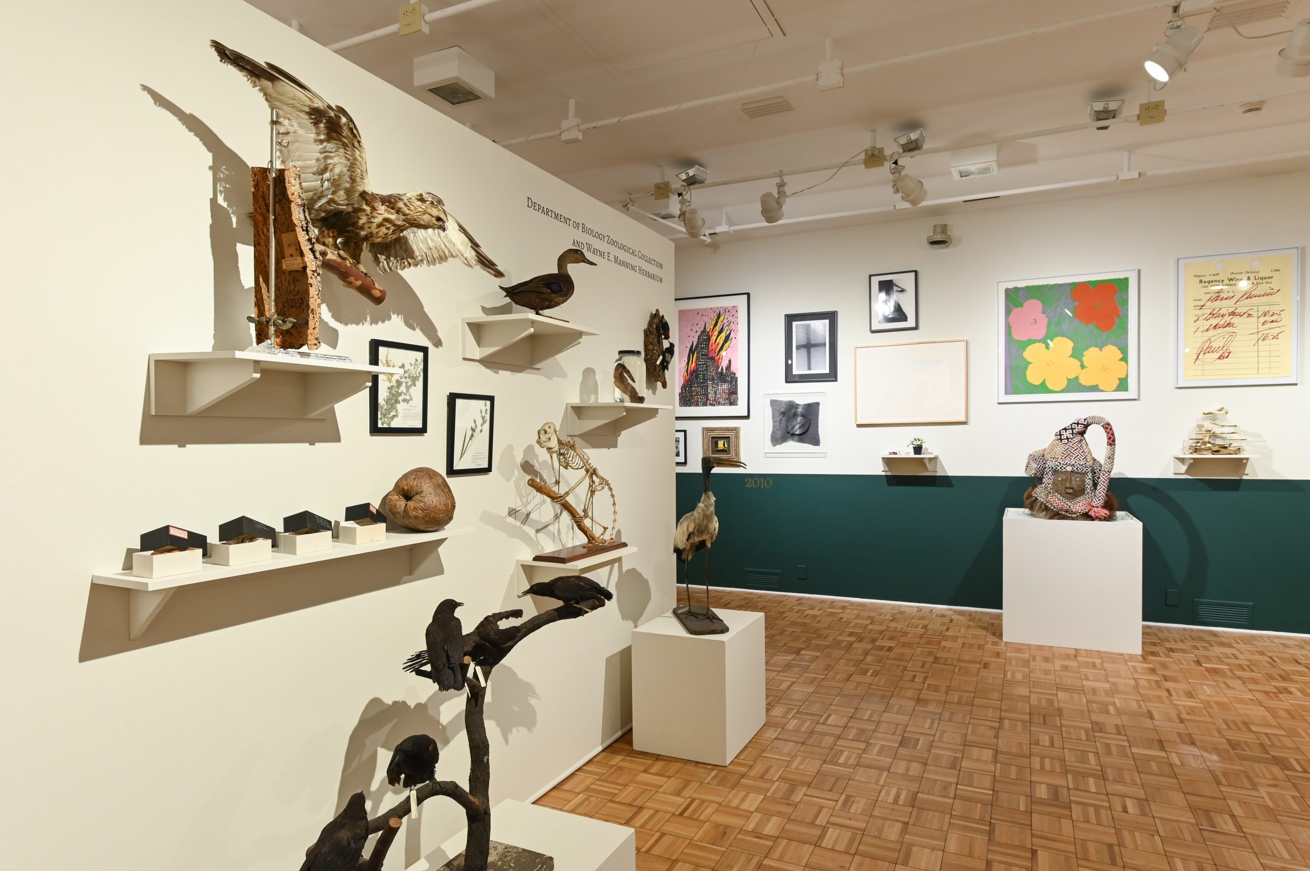 Wunderkammer: Collections and Legacies