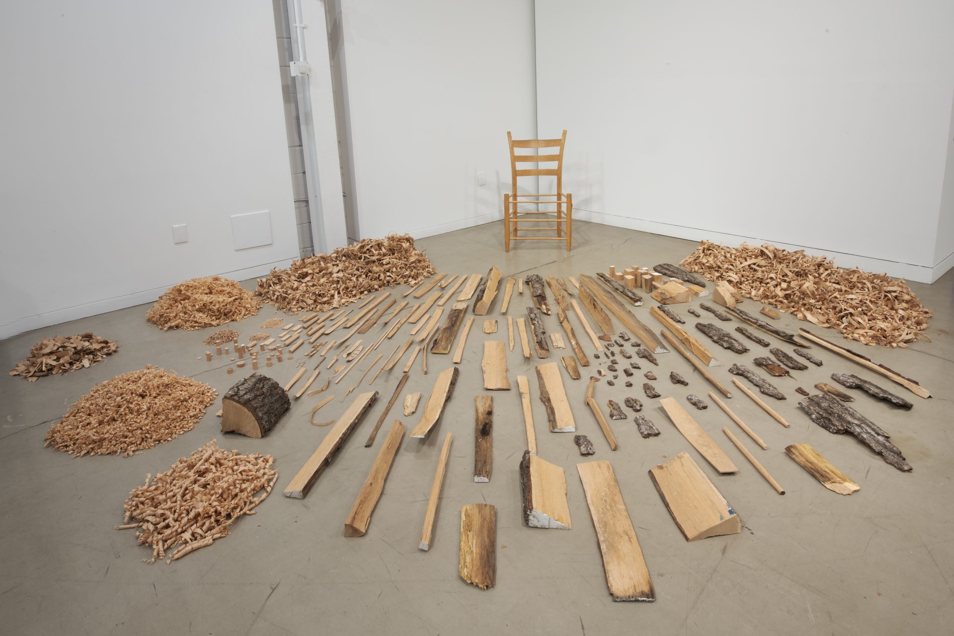 Gina Siepel: To Understand a Tree – Samek Art Museum